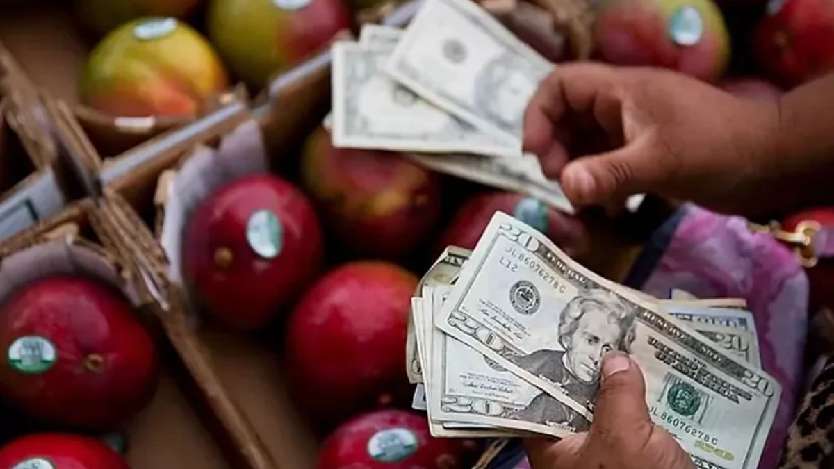 Complete List of Florida SNAP Beneficiaries Receiving Payments May 19 ...